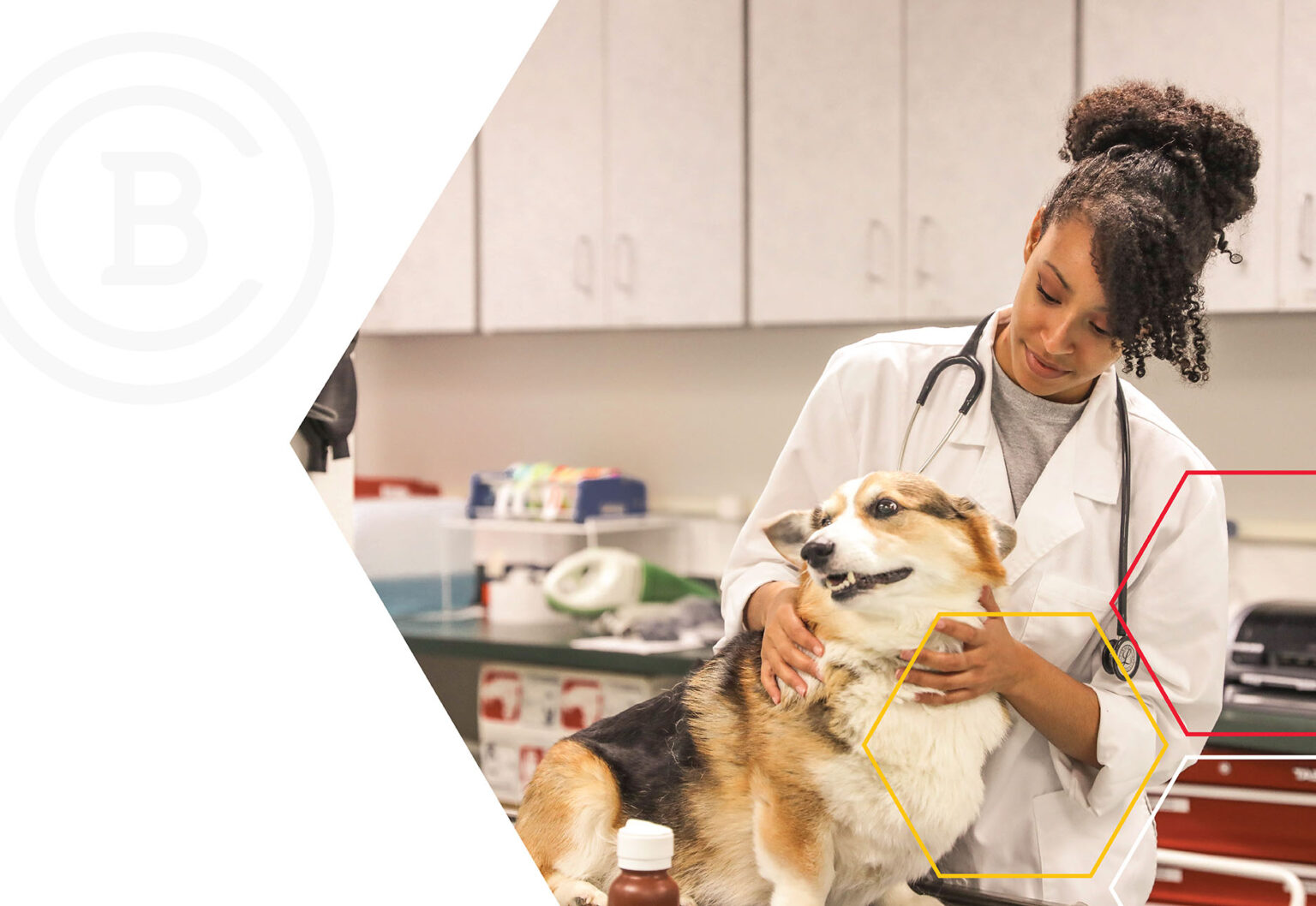 Baker College Acknowledges Veterinary Technician Week With Continued ...