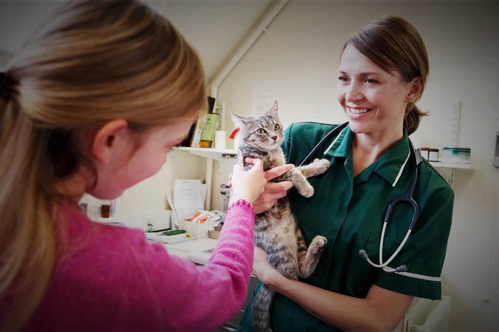 Veterinary Technology Associate Degree Program | Baker College in Michigan